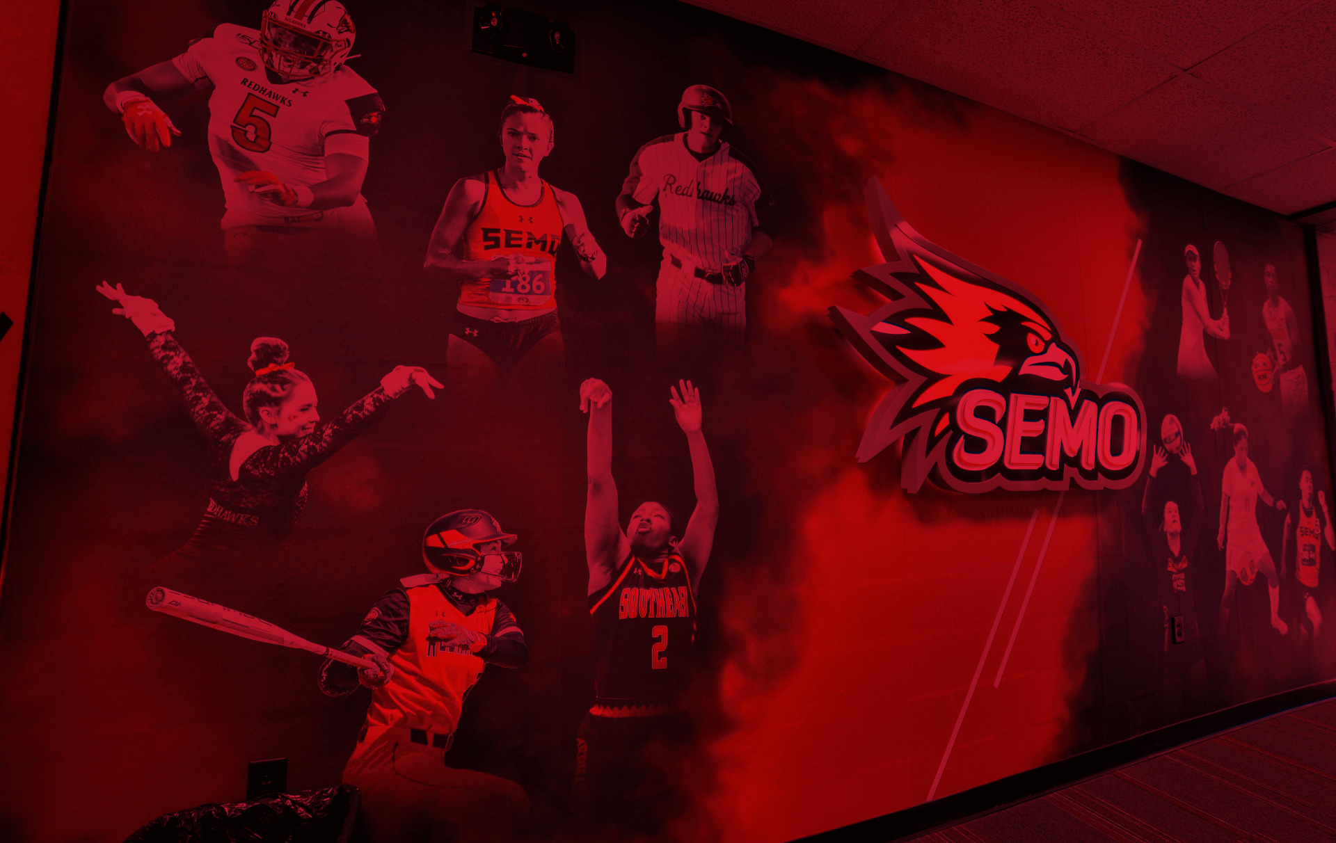 Southeast Missouri State University - Case Study